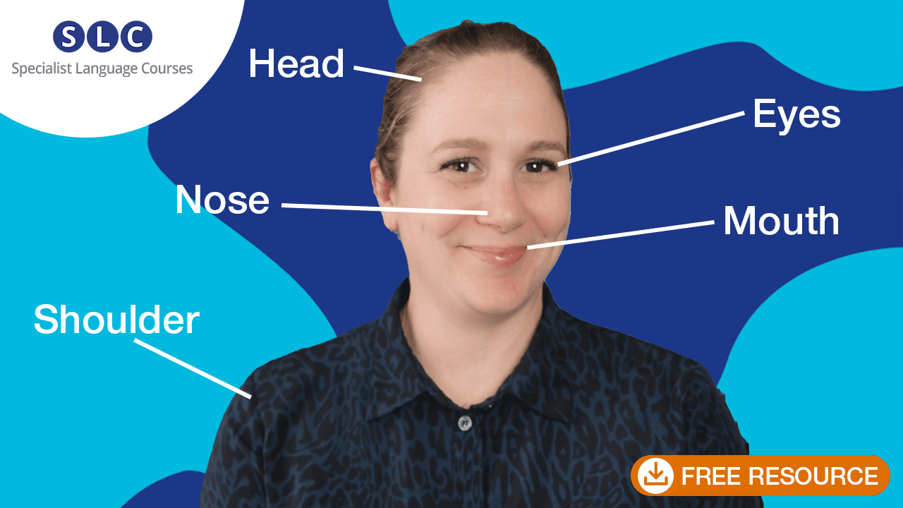 Learn medical terminology: The Body – Specialist Language Courses